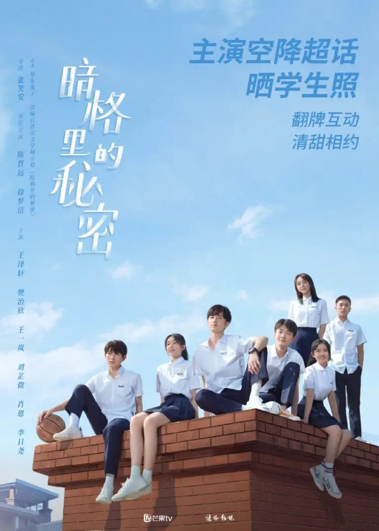 Our Secret C Drama Review - A High School Chinese Romance Drama